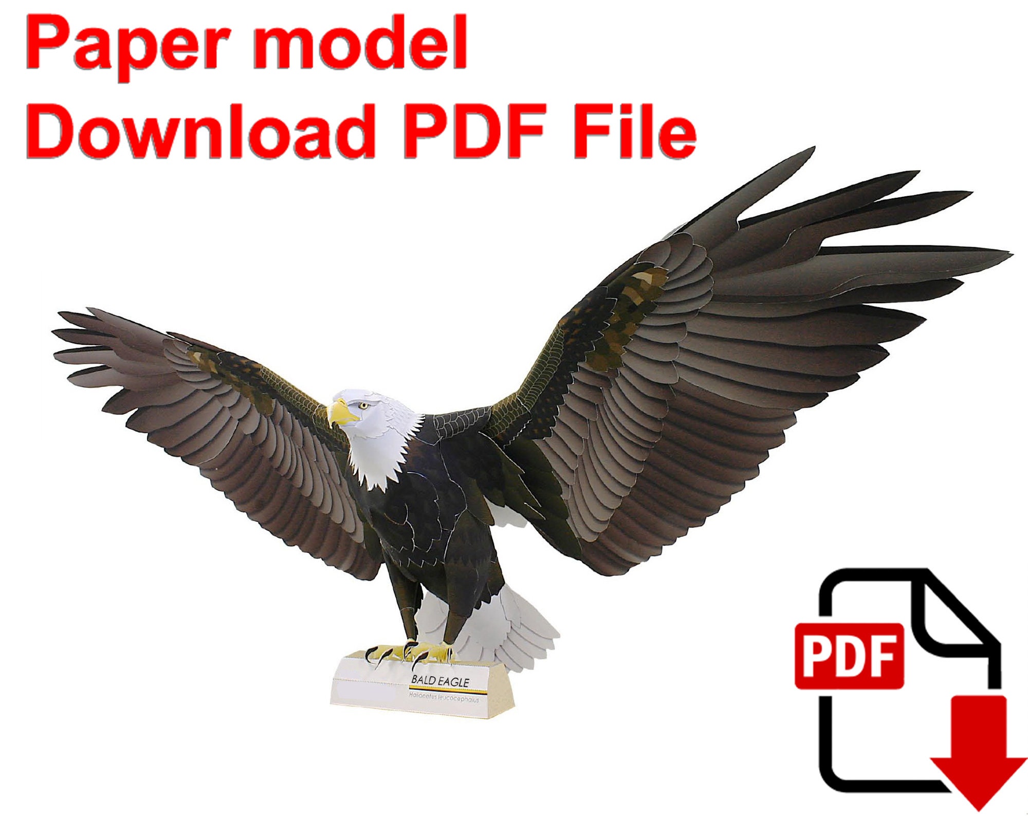 Bald Eagle, Papercraft, 3D Paper Model, Animal, Zoo, Paper Craft ...