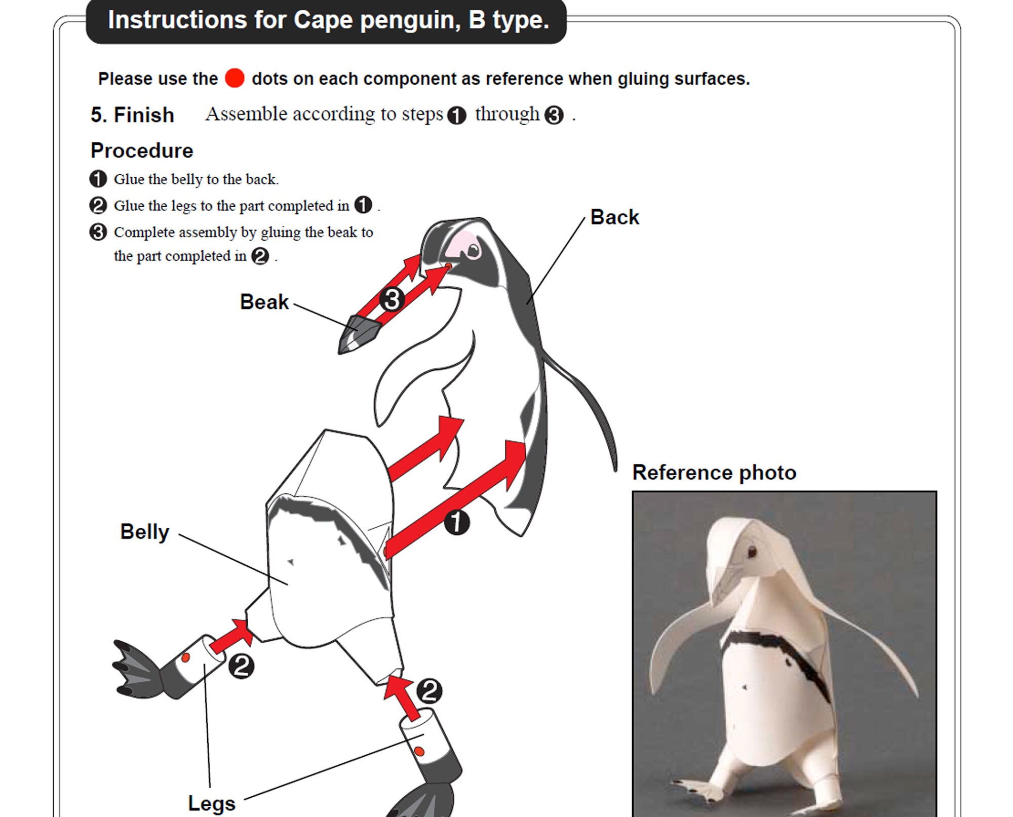 Cape Penguin Paper Model, DIY Papercraft (PDF Template) - Etsy