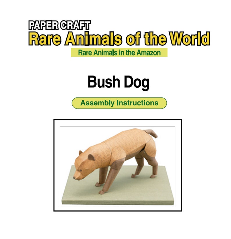 Bush Dog, Papercraft, 3D Paper Model, Animal, Zoo, Paper Craft ...