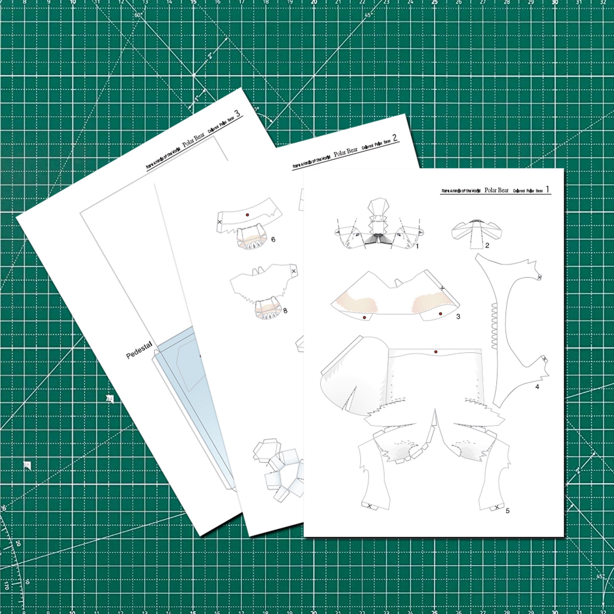 Polar Bear, Papercraft, 3D Paper Model, Animal, Zoo, Paper Craft ...