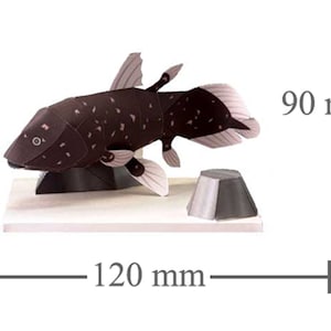 Coelacanth Papercraft, 3D Paper Model (PDF Template) - Etsy