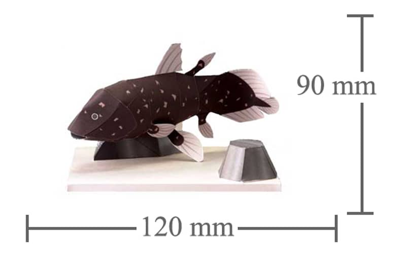 Coelacanth, Papercraft, 3D Paper Model, Animal, Zoo, Paper Craft ...