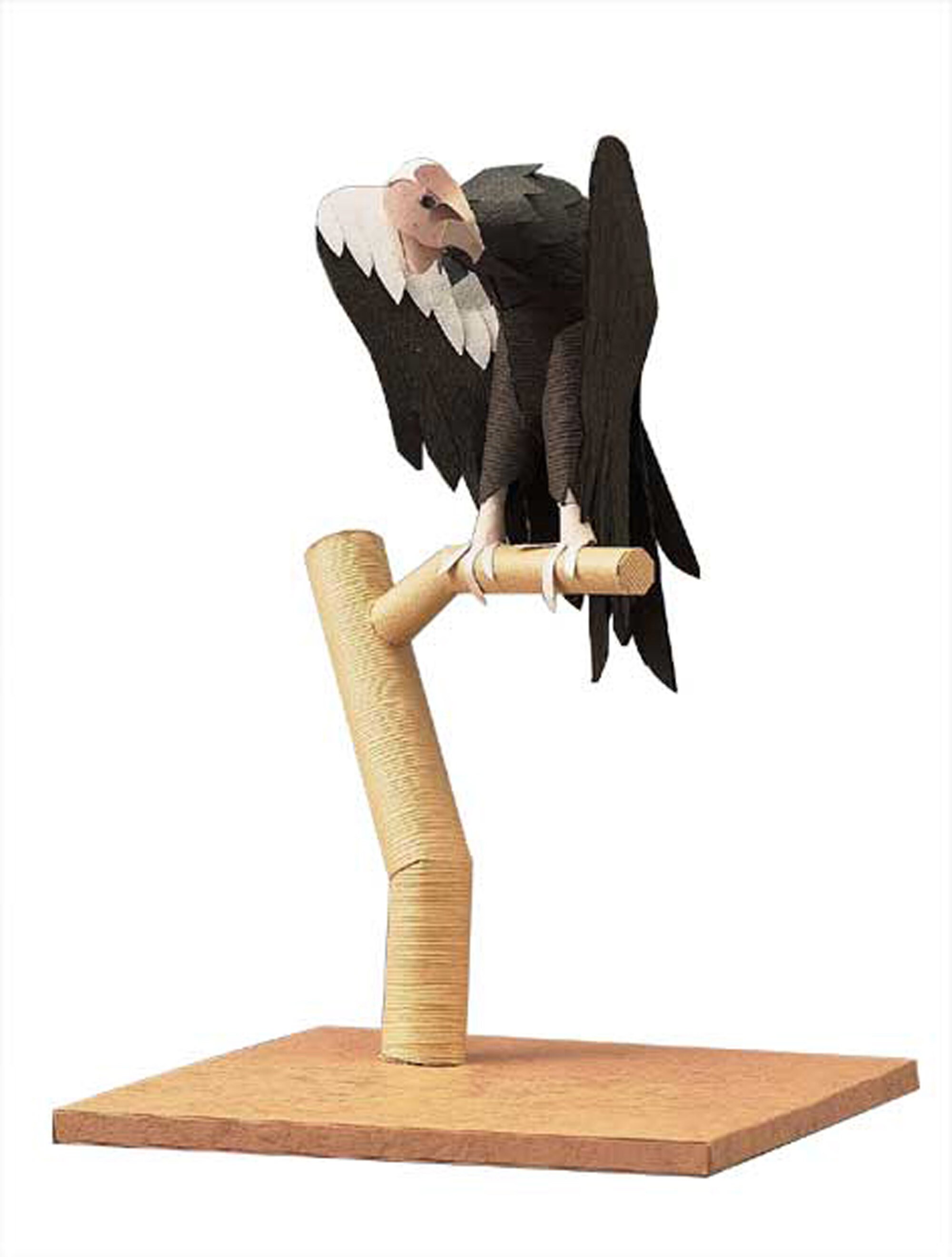 California Condor, Papercraft, 3D Paper Model, Animal, Zoo, Paper Craft ...