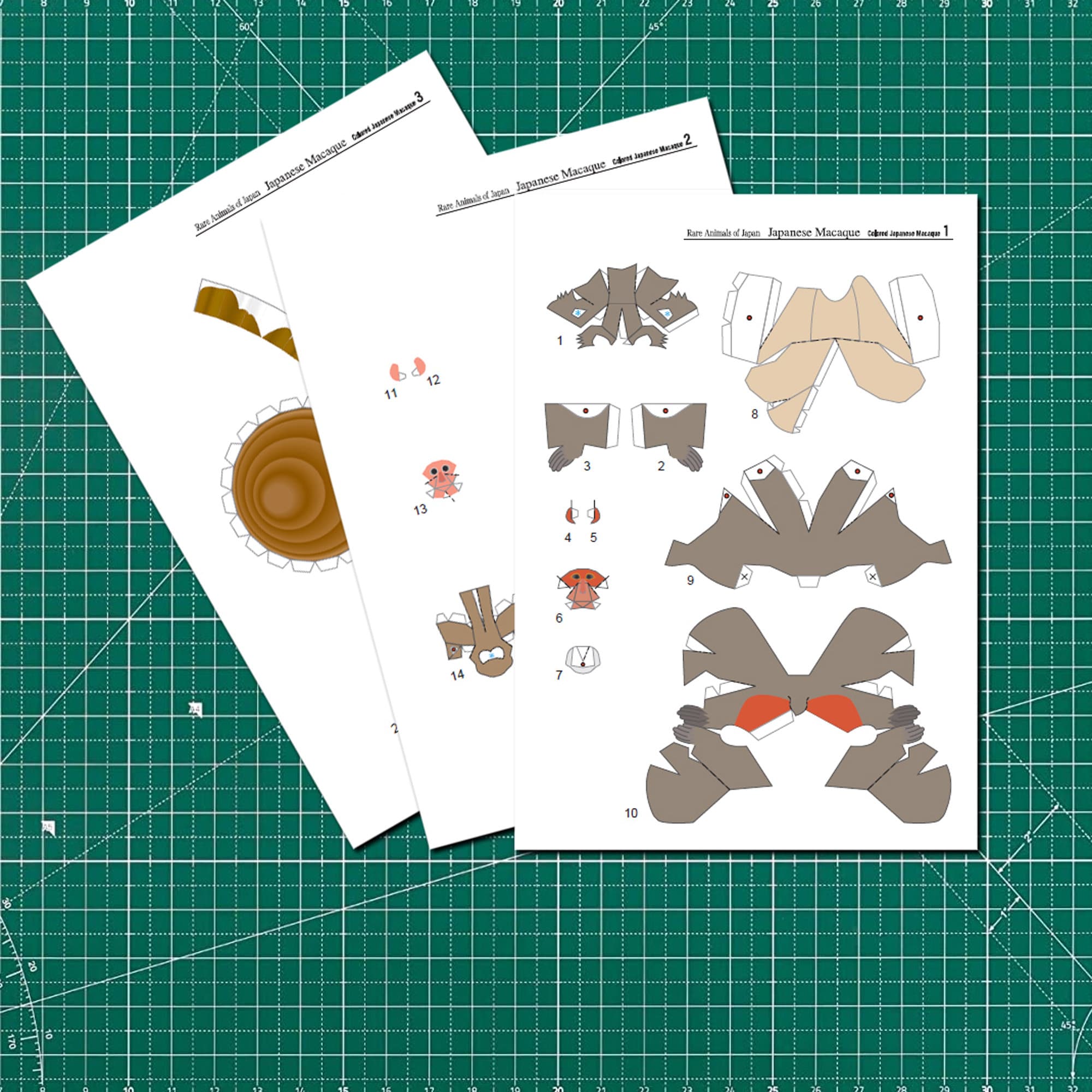 Japanese Macaque Papercraft 3D Paper Model Animal Zoo - Etsy
