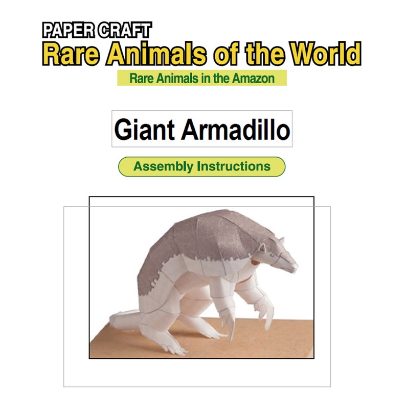 Armadillo Zoo Craft at Frank Duke blog