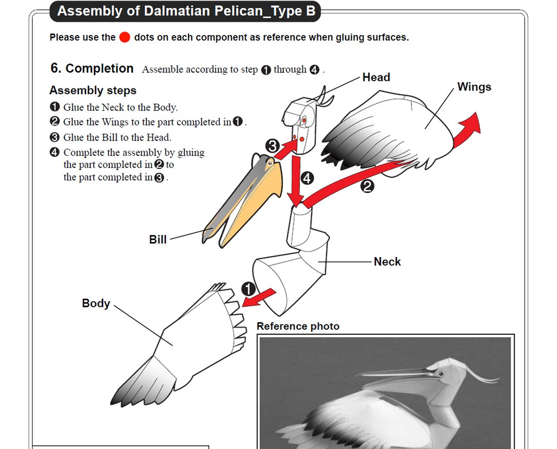 Dalmatian Pelican Papercraft 3D Paper Model Animal Zoo - Etsy