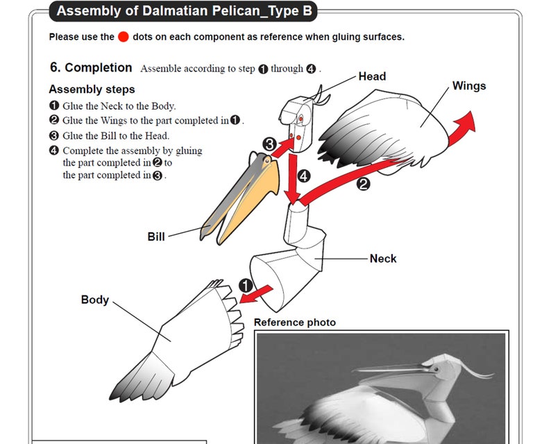 Dalmatian Pelican Papercraft 3D Paper Model Animal Zoo - Etsy
