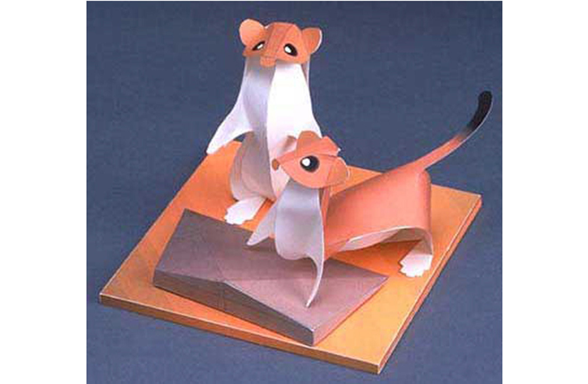 Hondo Stoat, Papercraft, 3D Paper Model, Animal, Zoo, Paper Craft ...