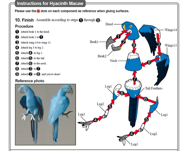 Hyacinth Macaw Papercraft 3D Paper Model Animal Zoo Paper - Etsy