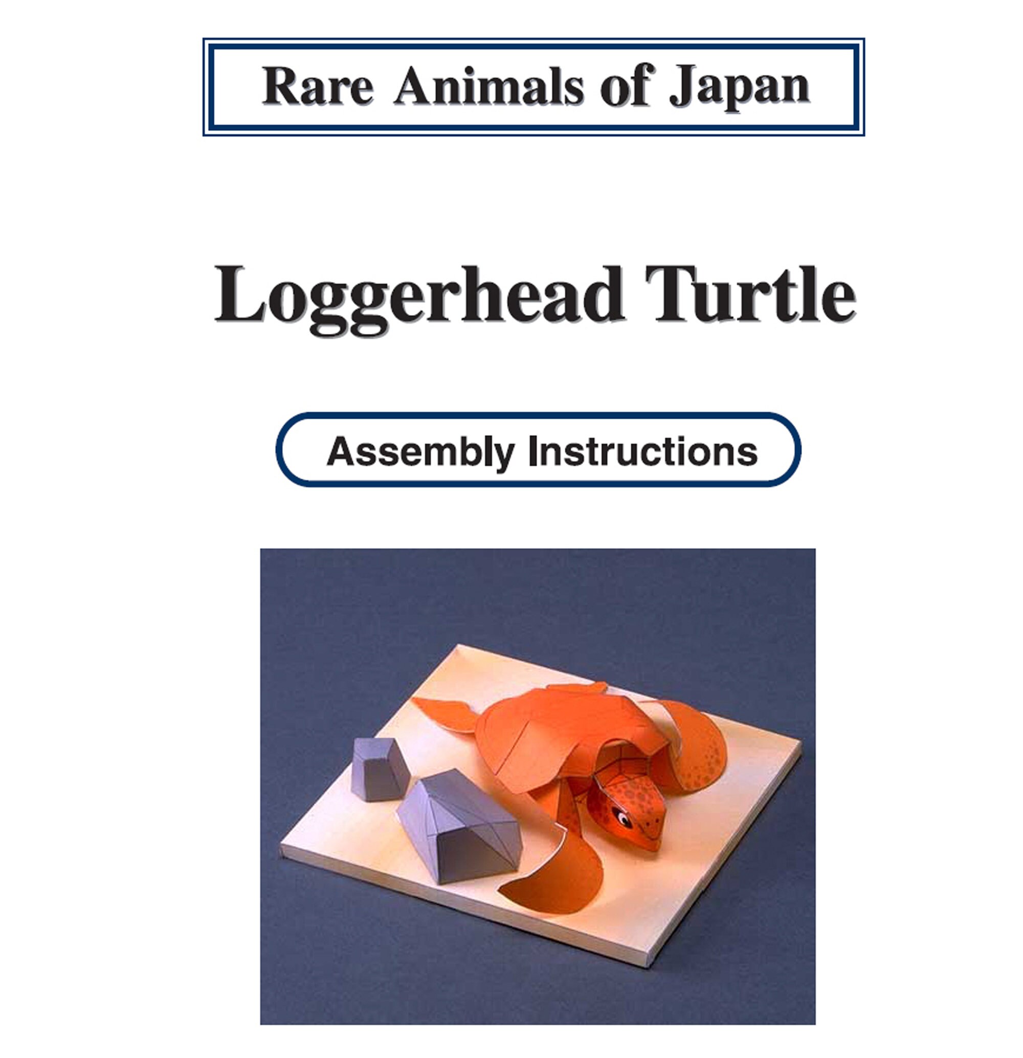 Loggerhead Turtle, Papercraft, 3D Paper Model, Animal, Zoo, Paper Craft ...