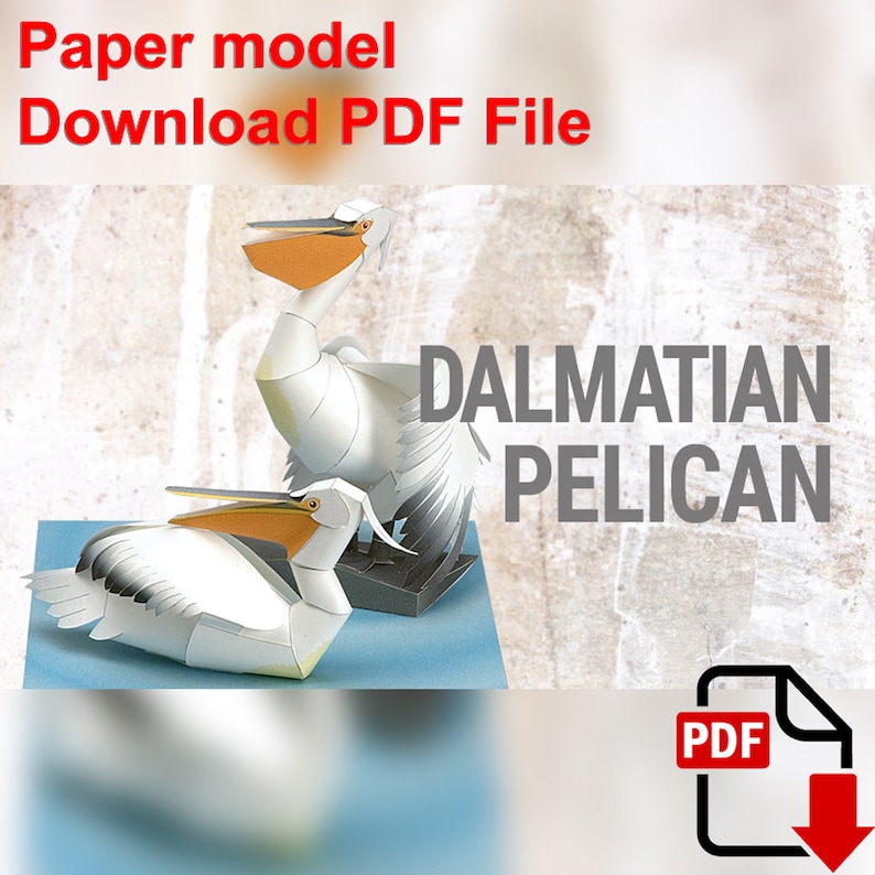 Dalmatian Pelican, Papercraft, 3D Paper Model, Animal, Zoo, Paper Craft ...