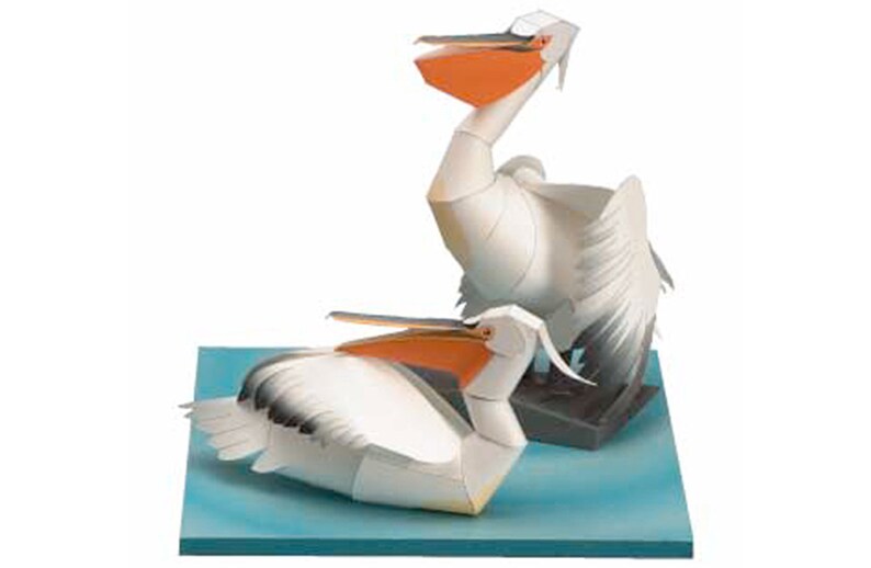 Dalmatian Pelican, Papercraft, 3D Paper Model, Animal, Zoo, Paper Craft ...