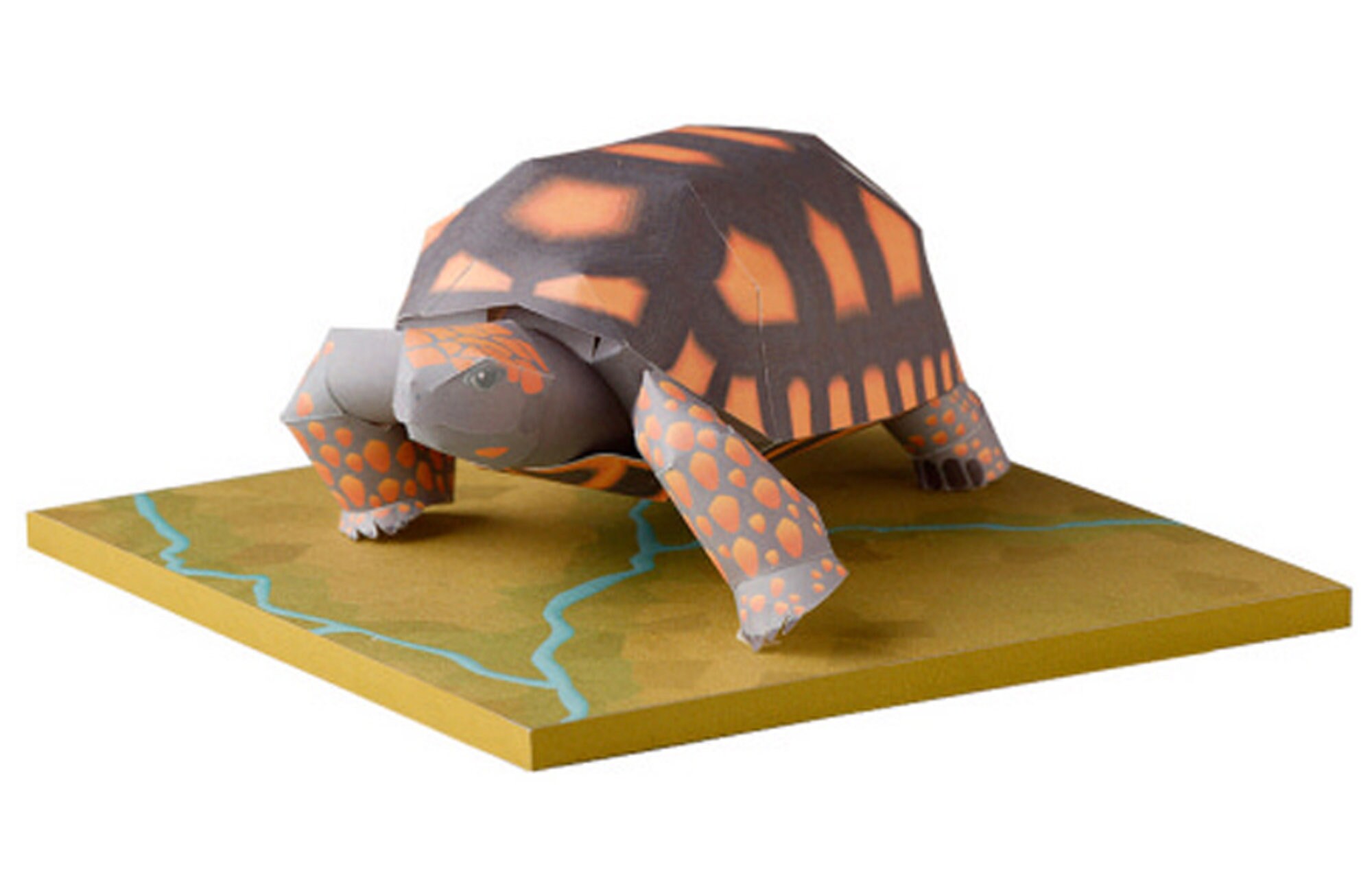 Yellow Footed Tortoise, Papercraft, 3D Paper Model, Animal, Zoo, Paper ...