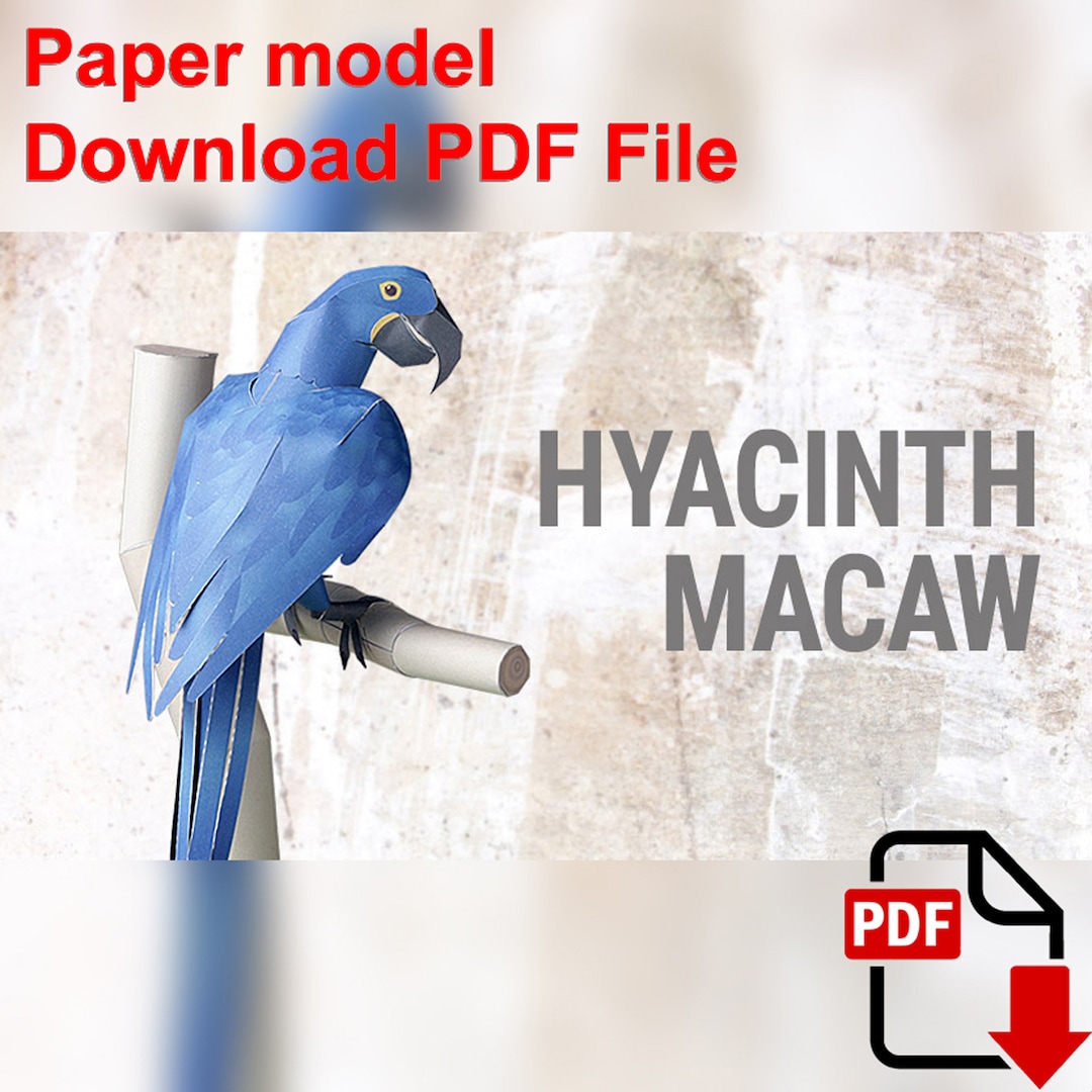 Hyacinth Macaw, Papercraft, 3D Paper Model, Animal, Zoo, Paper Craft ...