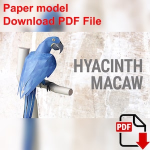 Hyacinth Macaw Paper Model, DIY 3D Papercraft (PDF Template) - Etsy