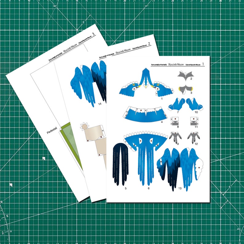 Hyacinth Macaw Papercraft 3D Paper Model Animal Zoo Paper - Etsy