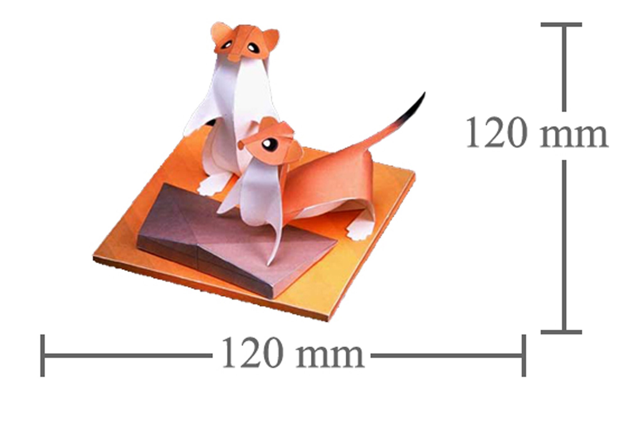 Hondo Stoat Papercraft 3D Paper Model Animal Zoo Paper - Etsy UK
