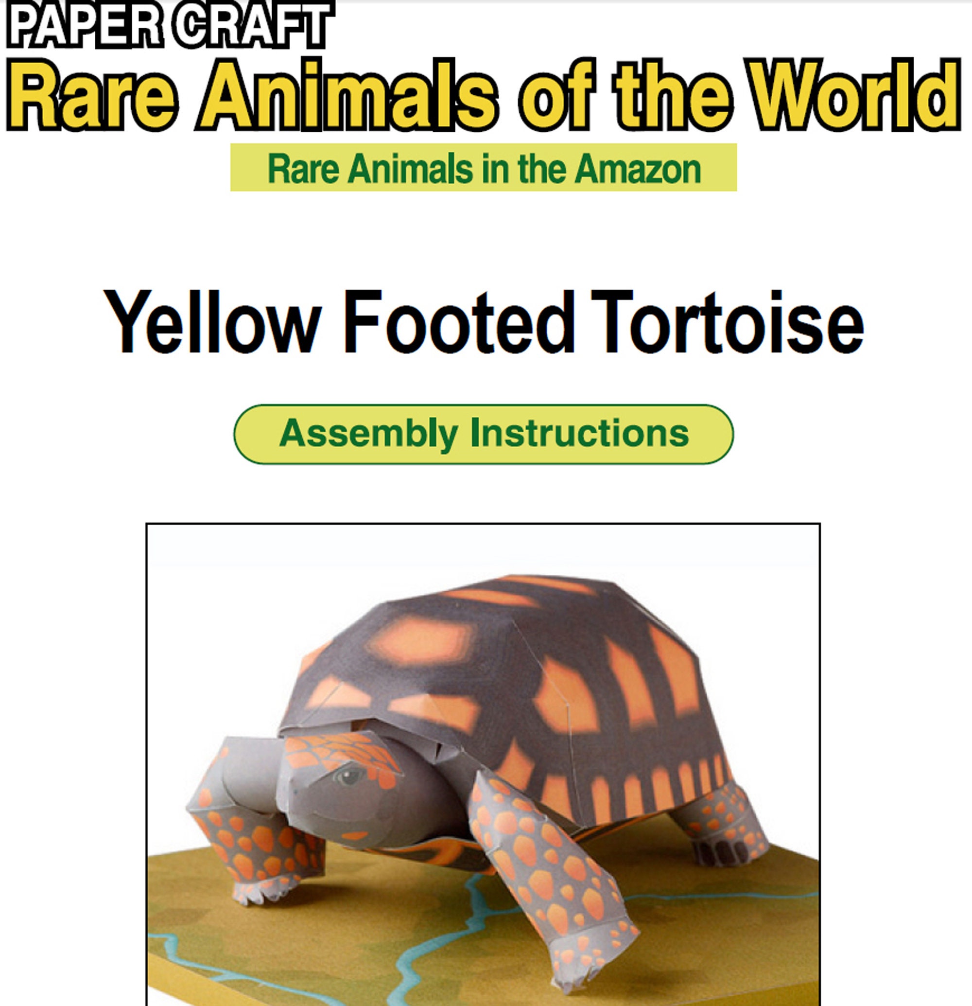 Yellow Footed Tortoise, Papercraft, 3D Paper Model, Animal, Zoo, Paper ...