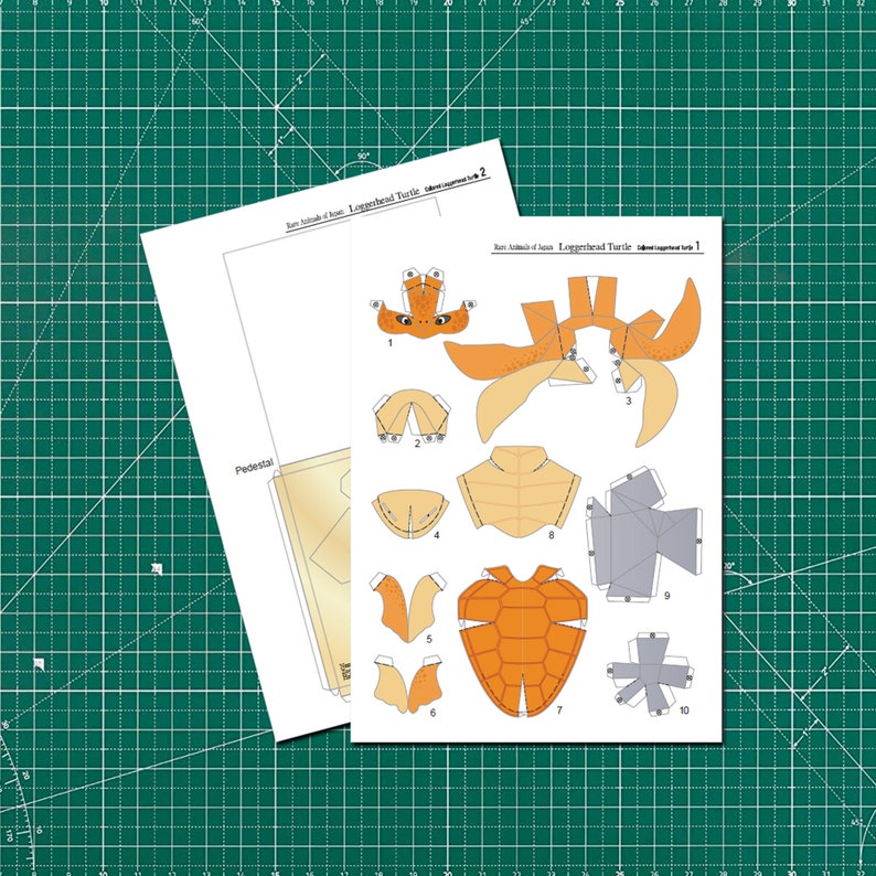 Loggerhead Turtle, Papercraft, 3D Paper Model, Animal, Zoo, Paper Craft ...