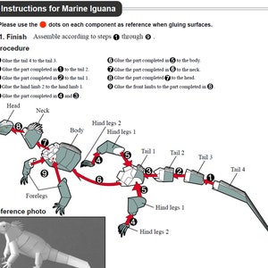 Marine Iguana Papercraft, 3D Paper Model (PDF Template) - Etsy