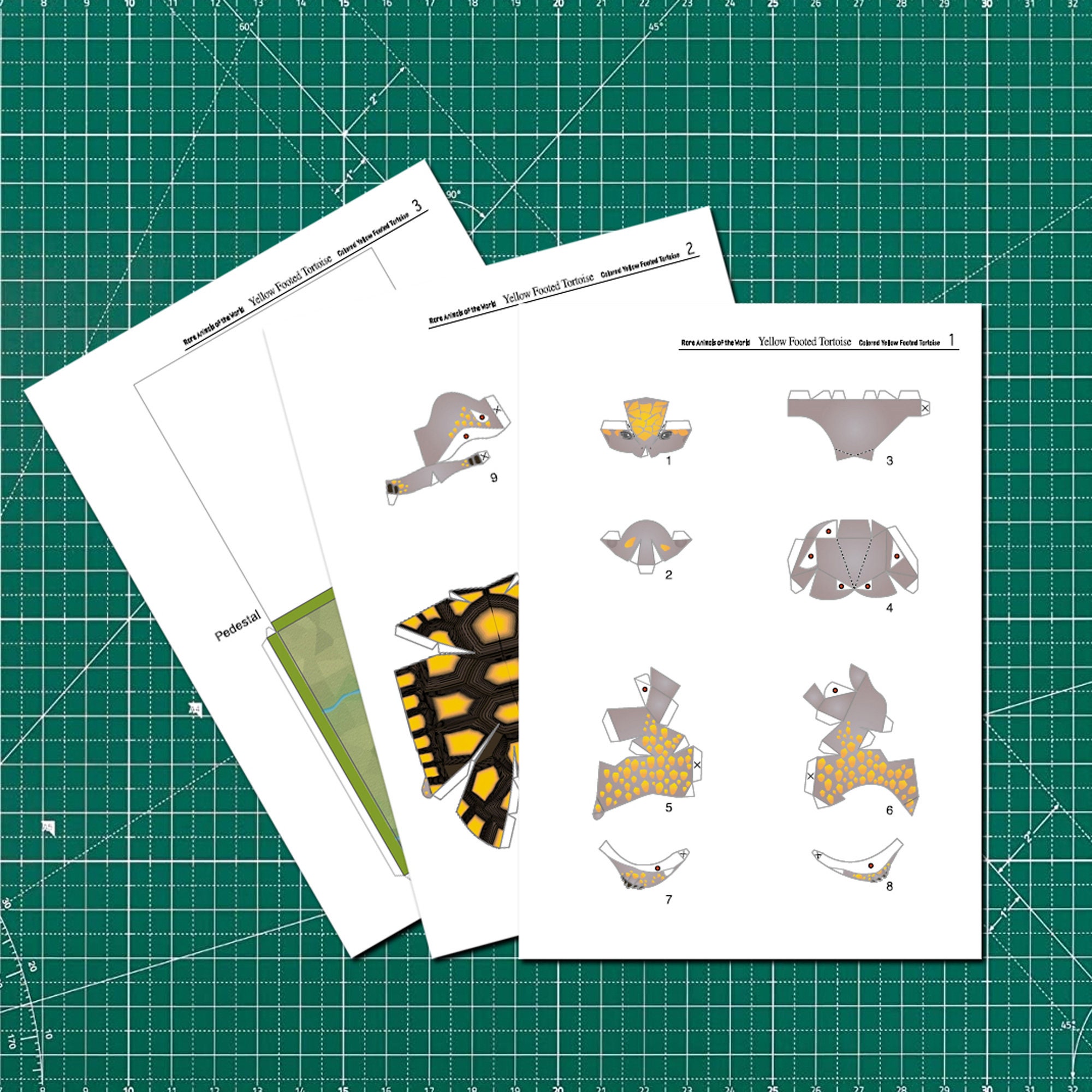 Grevy's Zebra, Papercraft, 3D Paper Model, Animal, Zoo, Paper Craft ...