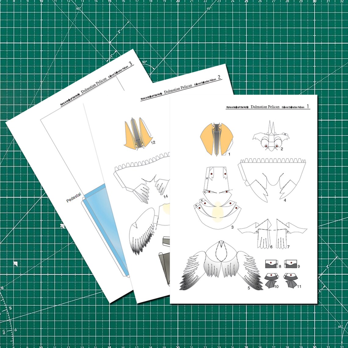Dalmatian Pelican Papercraft 3D Paper Model Animal Zoo - Etsy