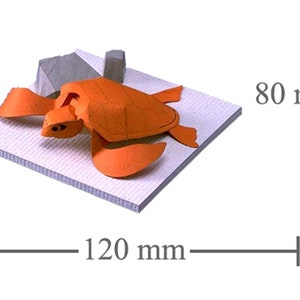 Loggerhead Turtle, Papercraft, 3D Paper Model, Animal, Zoo, Paper Craft ...