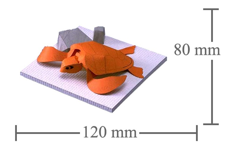 Loggerhead Turtle, Papercraft, 3D Paper Model, Animal, Zoo, Paper Craft ...