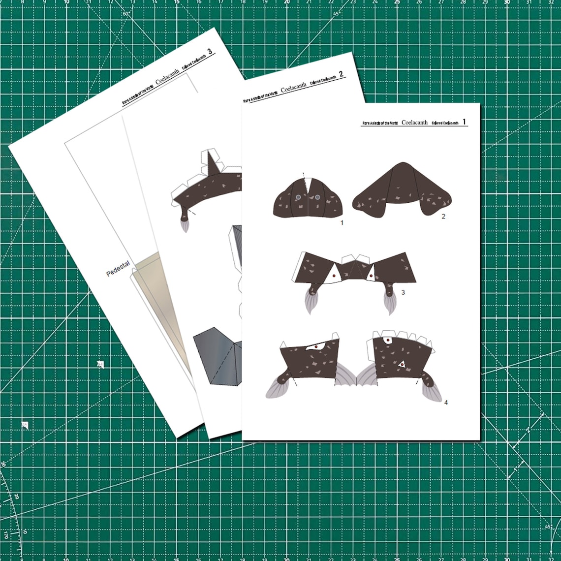 Coelacanth Papercraft, 3D Paper Model (PDF Template) - Etsy