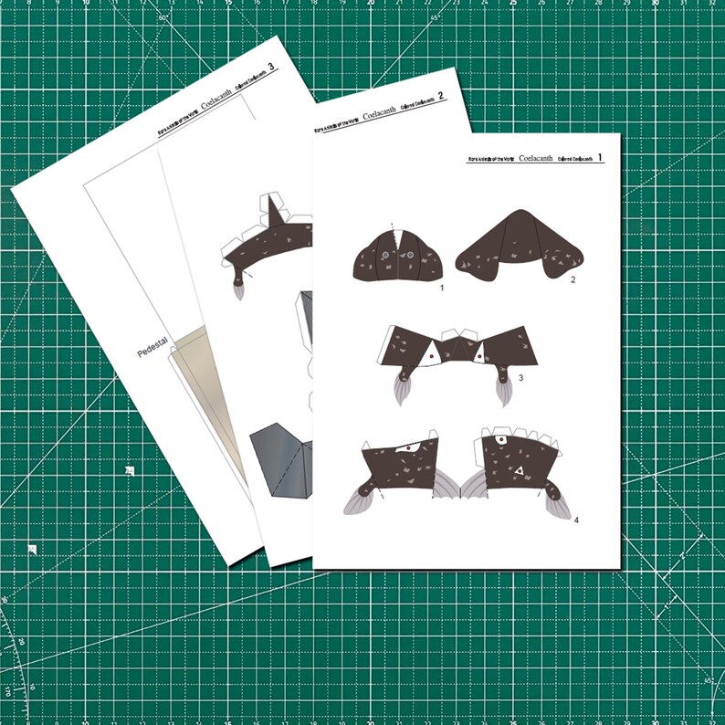 Coelacanth, Papercraft, 3D Paper Model, Animal, Zoo, Paper Craft ...