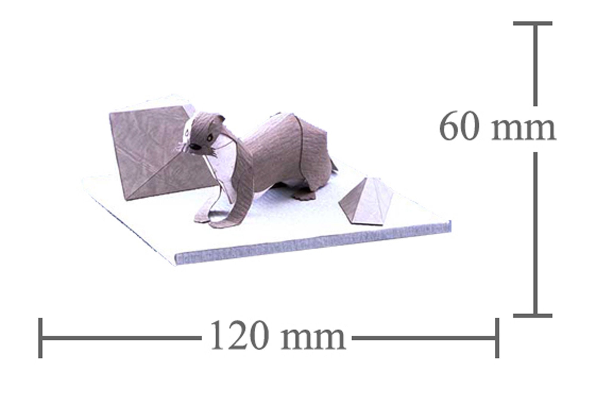 River Otter, Papercraft, 3D Paper Model, Animal, Zoo, Paper Craft ...