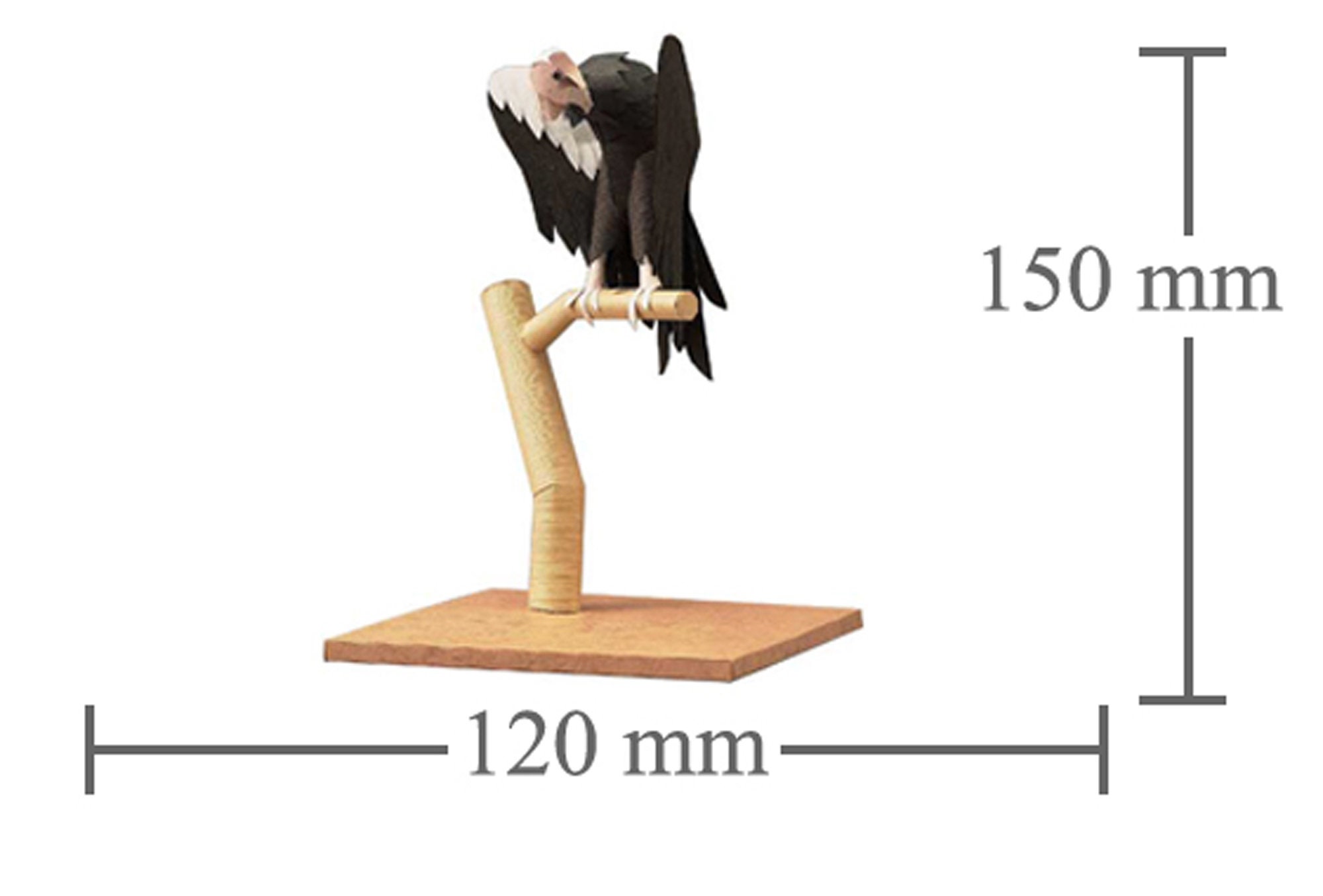 California Condor, Papercraft, 3D Paper Model, Animal, Zoo, Paper Craft ...