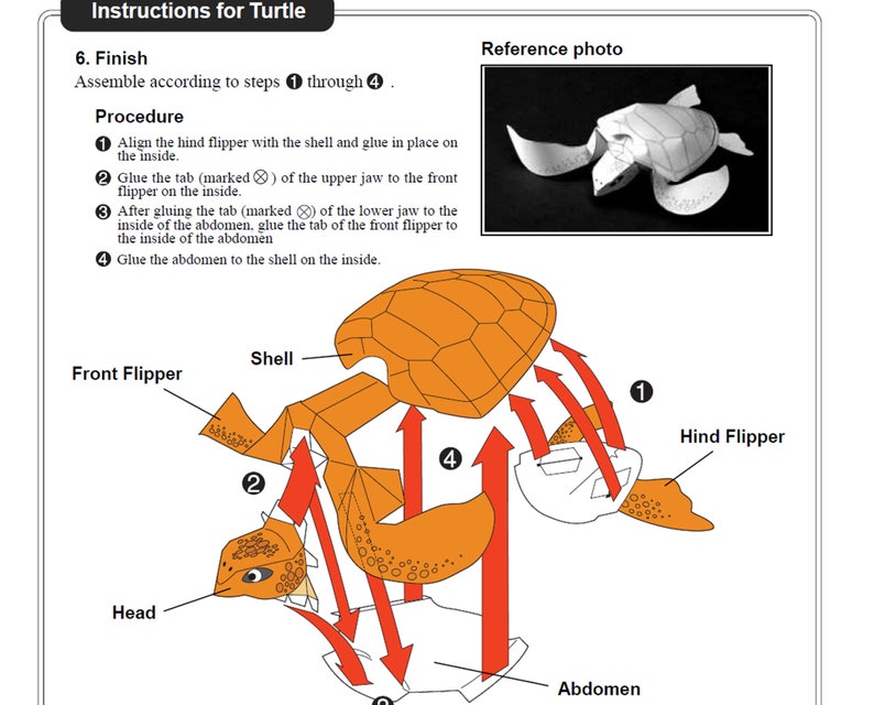 Loggerhead Turtle, Papercraft, 3D Paper Model, Animal, Zoo, Paper Craft ...