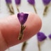 Pressed Mini Statice, Small Flower for Resin - Etsy