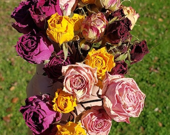 Bunch of Mini Dried Roses Naturally Dried Roses Crafts - Etsy