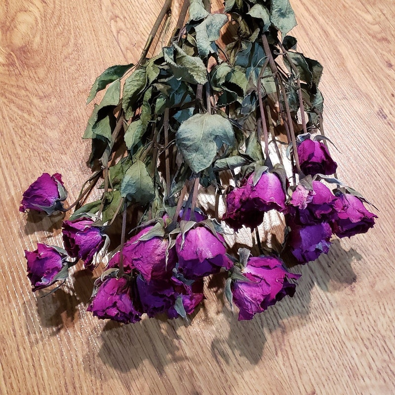 Purple Dried Flower - Etsy