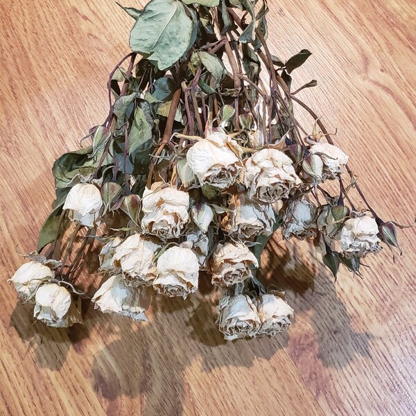 Dried White Roses - Etsy