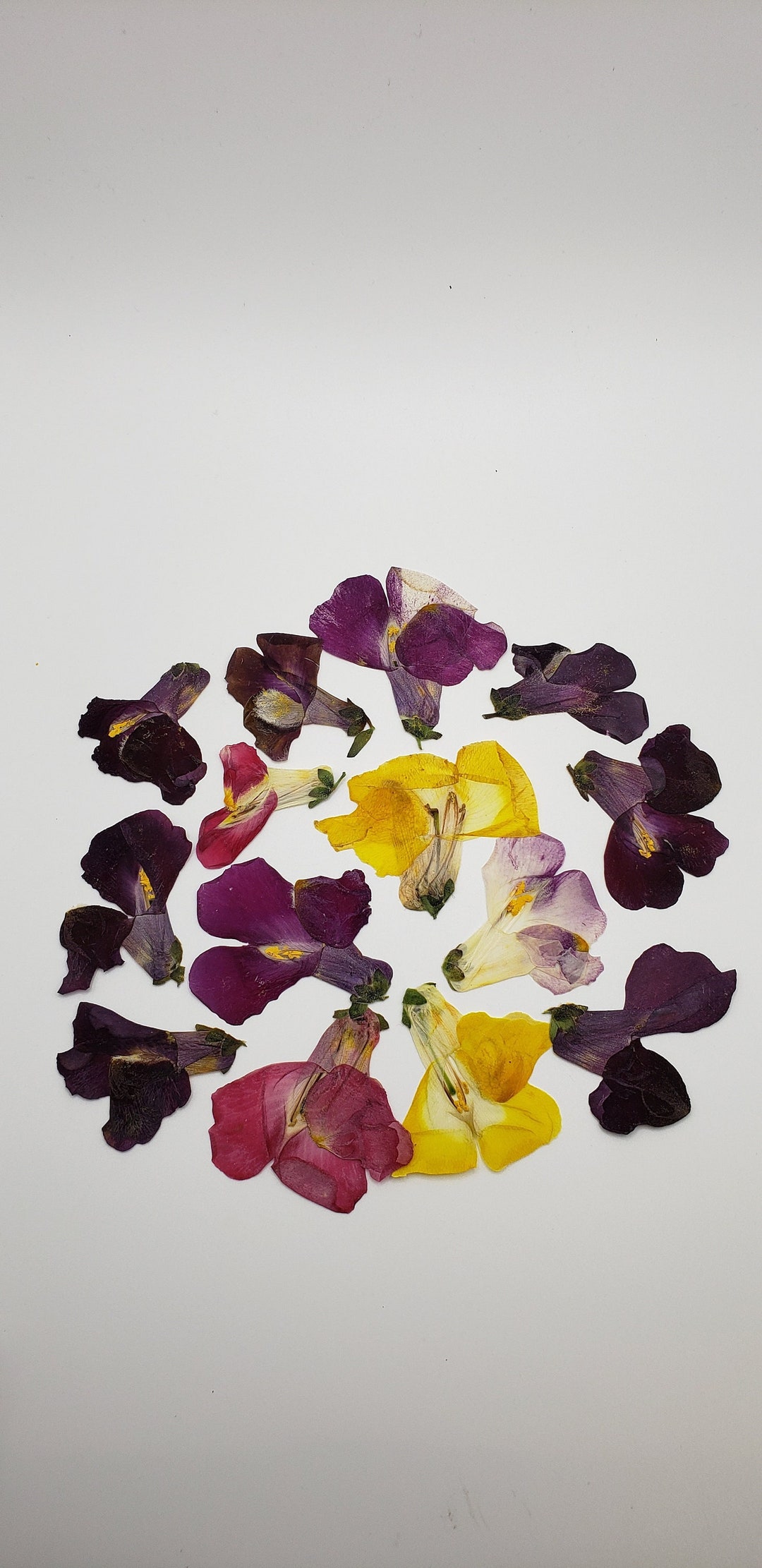 Pressed Snapdragon Flowers for Resin, DIY Craft Supply - Etsy