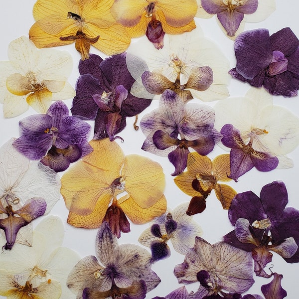 Pressed Flower Jewelry - Etsy