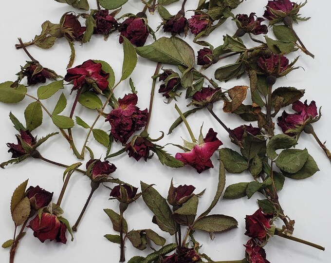 Air Dried Mini Red Roses, the Tiniest Roses - Etsy