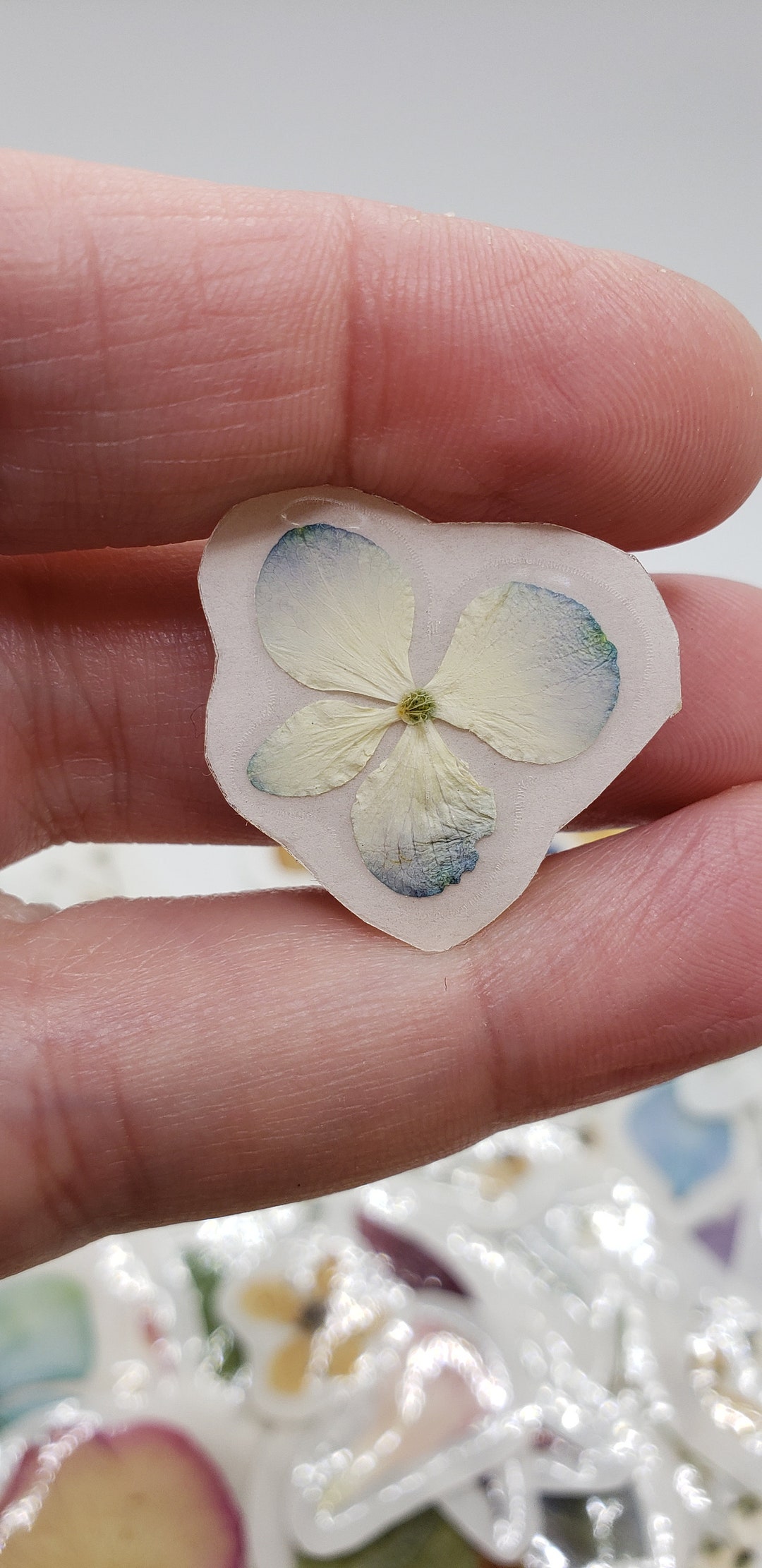 Real Flower Sticker, Pressed Flower Envelope Sealer, Wedding Invitation ...