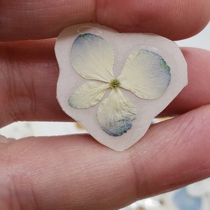 Real Flower Sticker, Pressed Flower Envelope Sealer, Wedding Invitation ...