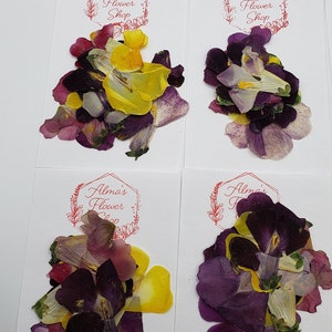 Pressed Snapdragon Flowers for Resin, DIY Craft Supply - Etsy