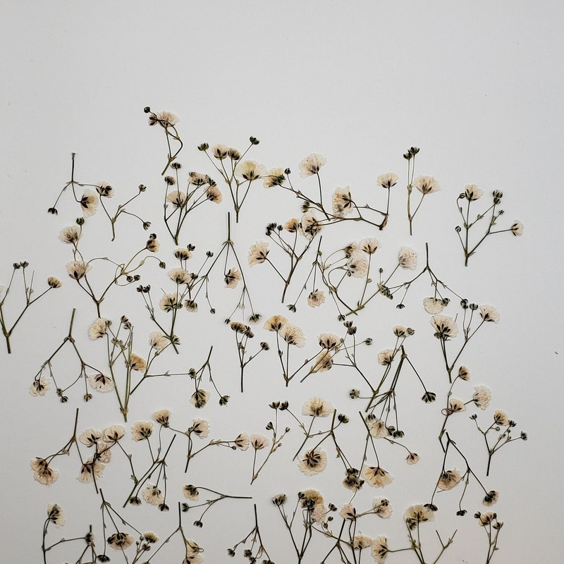Dried Flower Wax Stickers - Etsy