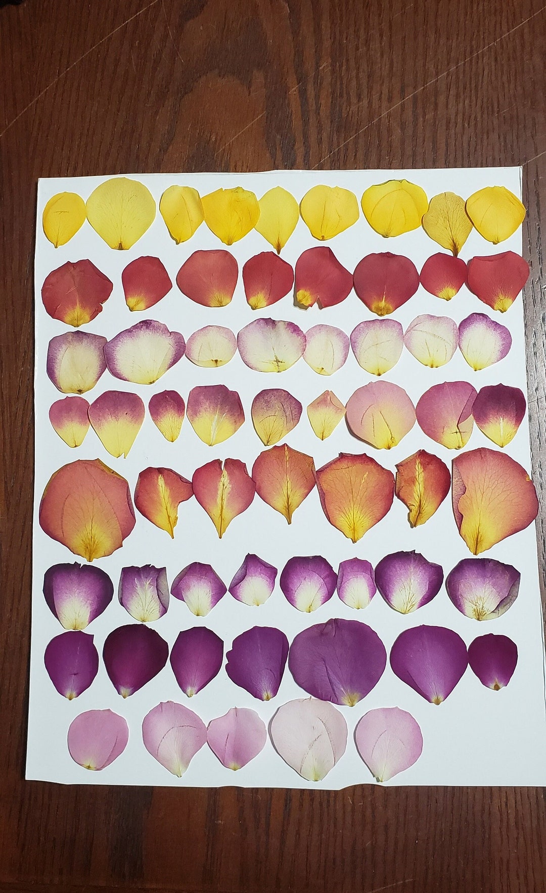 Pressed Small Rose Petal Mix for Resin, Jewelry, Flat Rose Petal Set ...