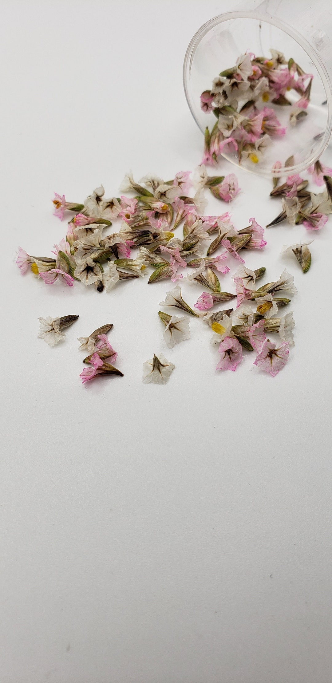100 of the Tiniest Flowers for Crafts, Resin Art, UV Resin, Jewelry ...