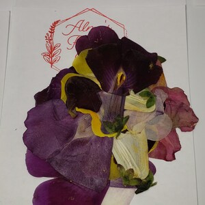 Pressed Snapdragon Flowers for Resin, DIY Craft Supply - Etsy