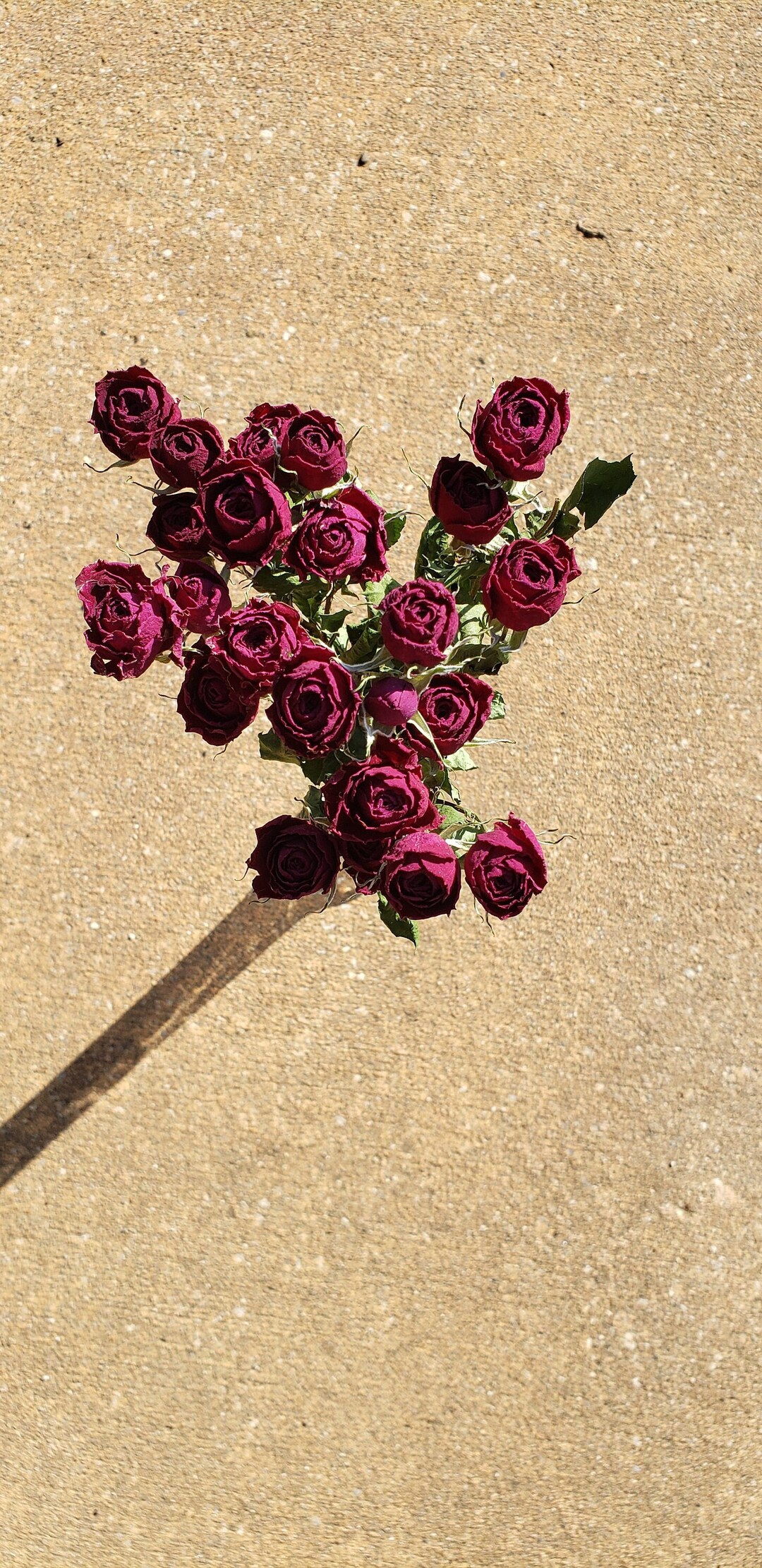 Air Dried Mini Burgundy Roses, Bouquet for Crafts or Home Decor, Small ...