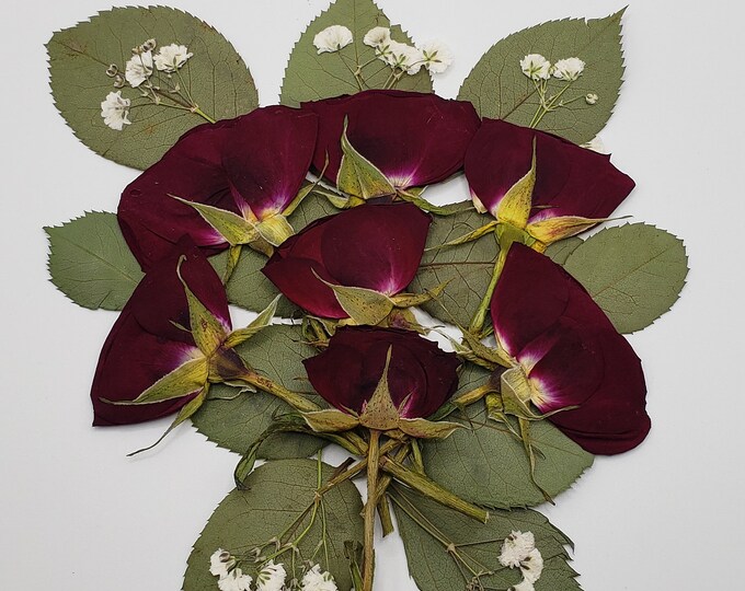 Pressed Red Rose Set - Etsy