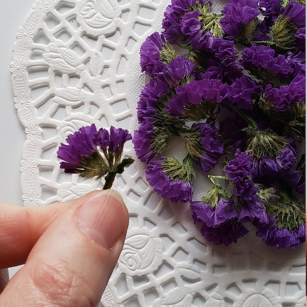 Statice Flowers - Etsy